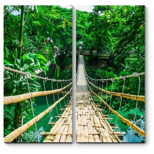 Модульная картина Бамбуковый пешеходный подвесной мост через реку в тропическом лесу 100x100