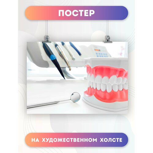 Постер на холсте Стоматология зубной врач анатомия (10) 30х40 см