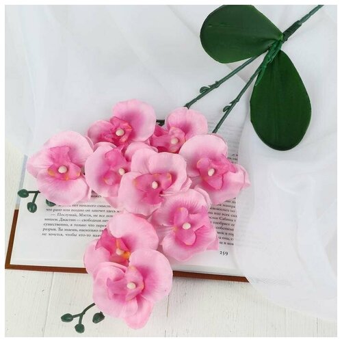 Цветы искусственные "Орхидея Фаленопсис мультифлора" 6х37 см, розовый микс