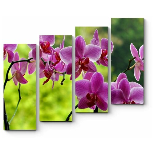 Модульная картина Неподражаемые орхидеи 100x86