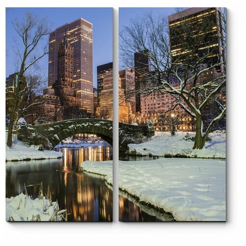 Модульная картина Зимний вид Центрального Парка90x90