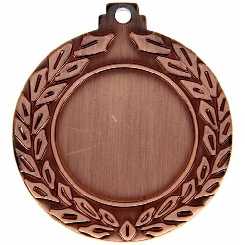 Медаль под нанесение, бронза, d=4,5 см ТероПром 1253541