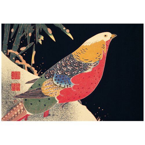 Постер / Плакат / Картина Золотой фазан 50х70 см в подарочном тубусе