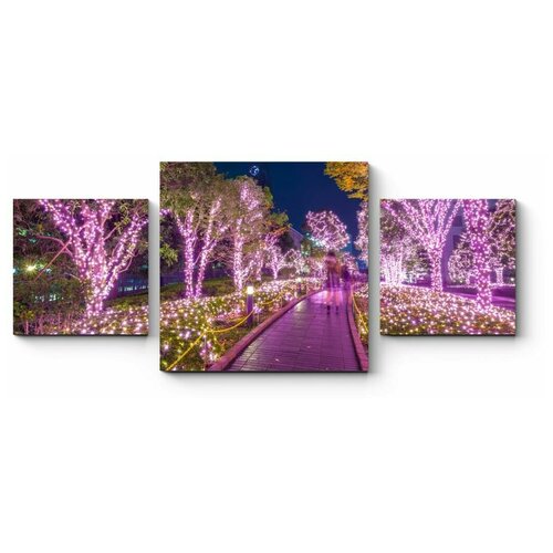 Модульная картина Зимний Парк в Токио 80x34