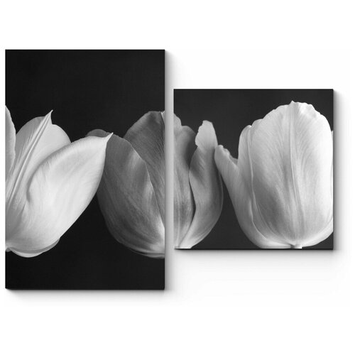 Модульная картина Монохромные тюльпаны 130x98