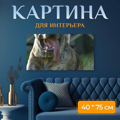 Картина на холсте "Домашние питомцы, собака, профиль собаки" на подрамнике 75х40 см. для интерьера