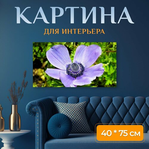 Картина на холсте "Анемон, цветок, весна" на подрамнике 75х40 см. для интерьера
