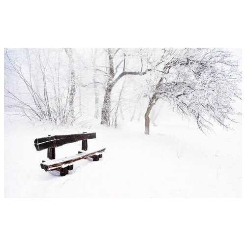 Постер на холсте Скамейка в зимнем парке (Bench in winter park) 63см. x 40см.