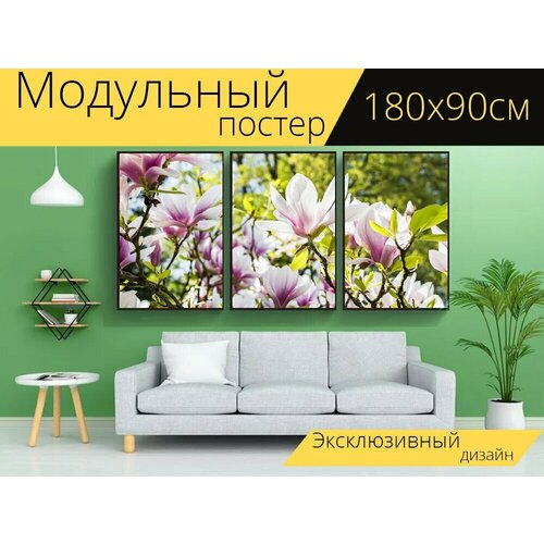 Модульный постер "Цветок, магнолия, природа" 180 x 90 см. для интерьера