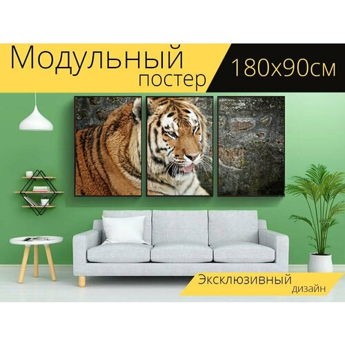 Модульный постер "Тигр, животное, зоопарк" 180 x 90 см. для интерьера