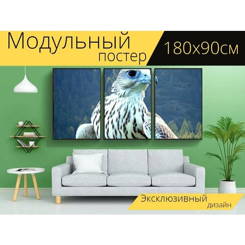Модульный постер "Сокол, белый, птица" 180 x 90 см. для интерьера