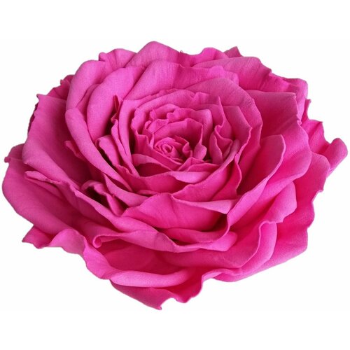 Заколка-брошь для волос/одежды/сумки крупный цветок роза пионовидная цвета фуксия 0043