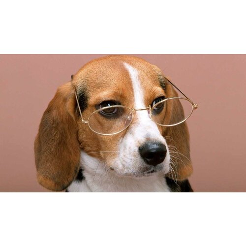 Картина на холсте 60x110 LinxOne "Собака очки" интерьерная для дома / на стену / на кухню / с подрамником