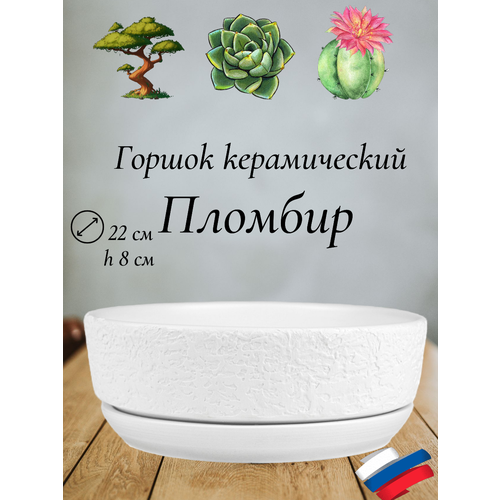 Керамический горшок "Пломбир" для бонсай, кактусов и суккулентов, диаметр 22 см, высота 8 см