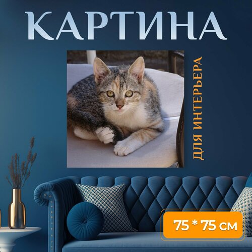 Картина на холсте "Щенок, котенок, животные" на подрамнике 75х75 см. для интерьера