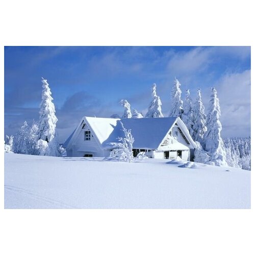 Постер на холсте Зимний пейзаж (Winter Landscape) №28 45см. x 30см.