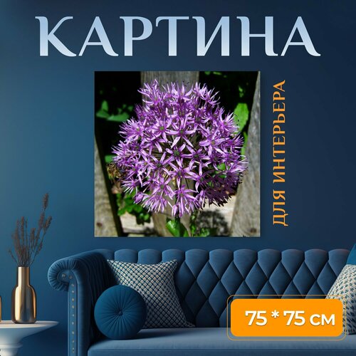 Картина на холсте "Луковый цветок, фиолетовый, сад" на подрамнике 75х75 см. для интерьера
