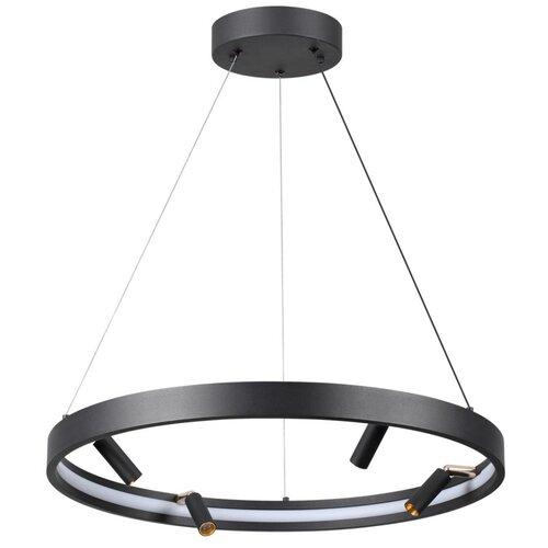 Люстра подвесная Odeon Light FONDA 4317/58L