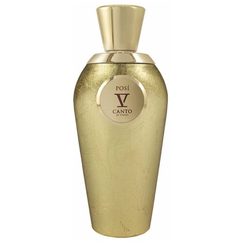 V Canto Posi Extrait de Parfum 100мл