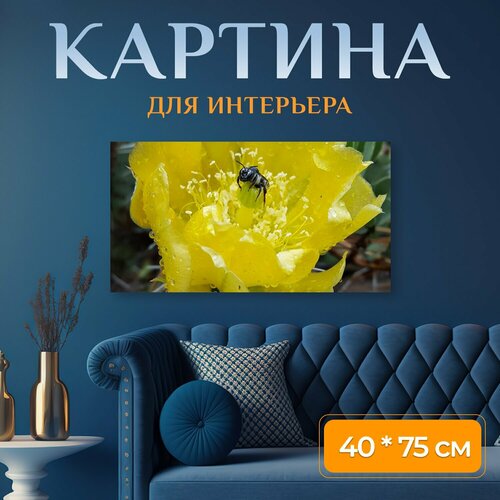 Картина на холсте "Цветок кактуса, жук, насекомое" на подрамнике 75х40 см. для интерьера