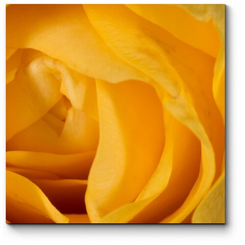 Модульная картина Солнечная роза 40x40
