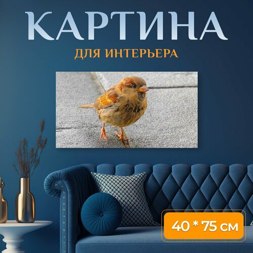 Картина на холсте "Каштановый воробей, птица, животное" на подрамнике 75х40 см. для интерьера