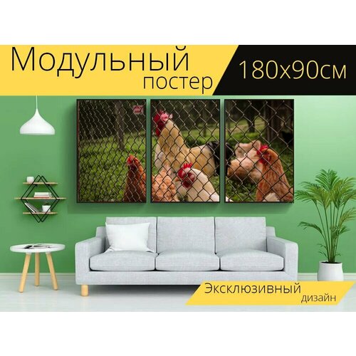 Модульный постер "Загон, кур, животные" 180 x 90 см. для интерьера