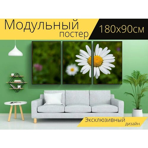 Модульный постер "Ромашка, цветок, белый" 180 x 90 см. для интерьера
