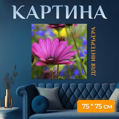 Картина на холсте "Цветок, фиолетовый, природа" на подрамнике 75х75 см. для интерьера