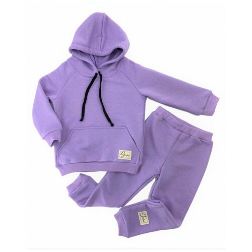 Комплект одежды Стеша, размер 28 (98-104), фиолетовый