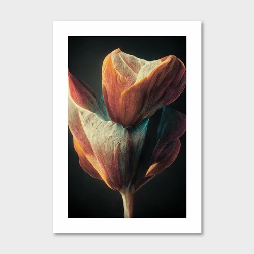Постер для интерьера Postermarkt, Цветок На Темном Фоне №1, 70х100 см