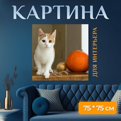 Картина на холсте "Кот, рыжий, домашнее животное" на подрамнике 75х75 см. для интерьера