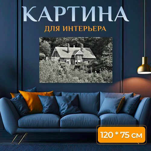 Картина на холсте "Коттедж, б ж, черное и белое" на подрамнике 120х75 см. для интерьера
