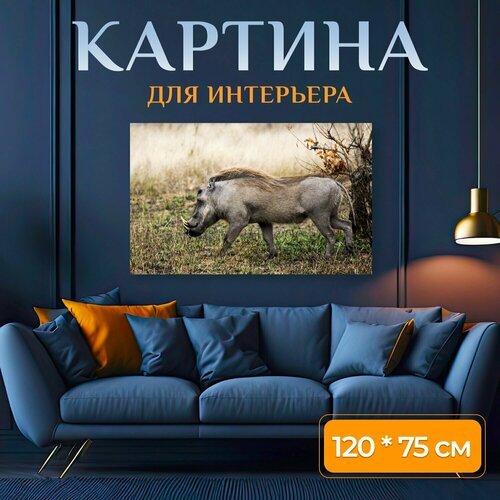 Картина на холсте "Бородавочник, животное, дикая природа" на подрамнике 120х75 см. для интерьера