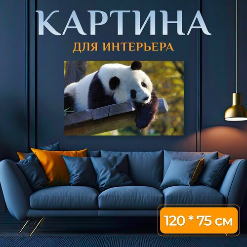 Картина на холсте "Панда, большая панда, бамбук" на подрамнике 120х75 см. для интерьера