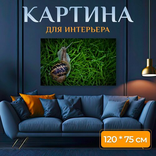 Картина на холсте "Улитка, лужайка, трава" на подрамнике 120х75 см. для интерьера