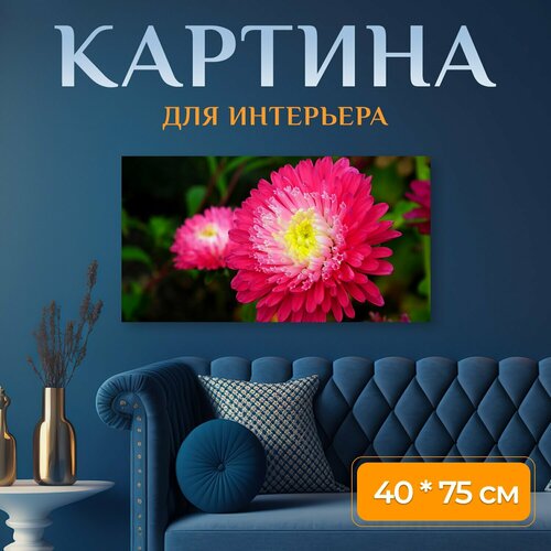 Картина на холсте "Астра, цветок, красный" на подрамнике 75х40 см. для интерьера