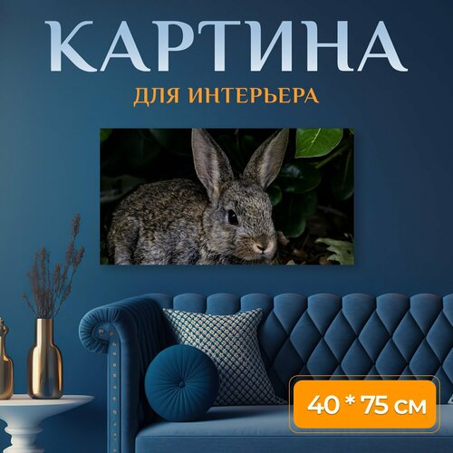 Картина на холсте "Кролик, заяц, природа" на подрамнике 75х40 см. для интерьера