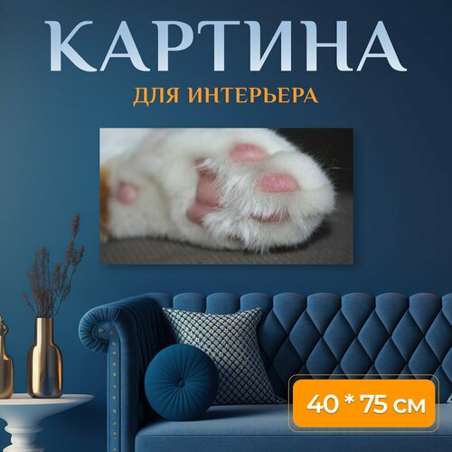 Картина на холсте "Кошка, кошачий, шерсть" на подрамнике 75х40 см. для интерьера