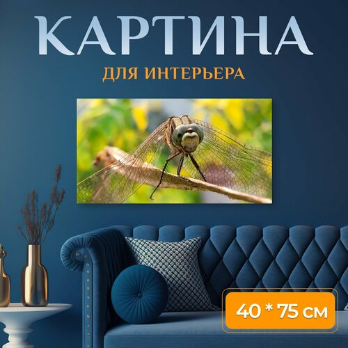 Картина на холсте "Стрекоза, скиммер, насекомое" на подрамнике 75х40 см. для интерьера