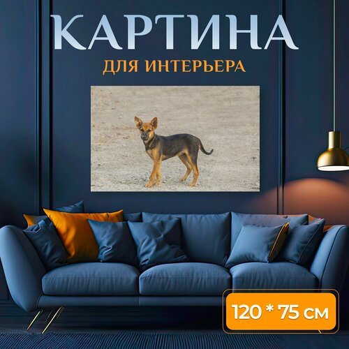 Картина на холсте "Собака, щенок, домашний питомец" на подрамнике 120х75 см. для интерьера