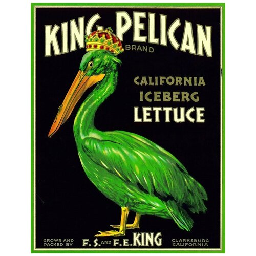 Плакат, постер на бумаге King Pelican/Королевский Пеликан. Размер 21 на 30 см
