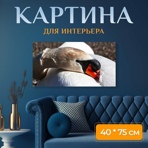 Картина на холсте "Лебедь, немой лебедь, птица" на подрамнике 75х40 см. для интерьера