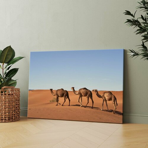 Картина на холсте (Верблюд в пустыне сахара) 30x40 см. Интерьерная, на стену.