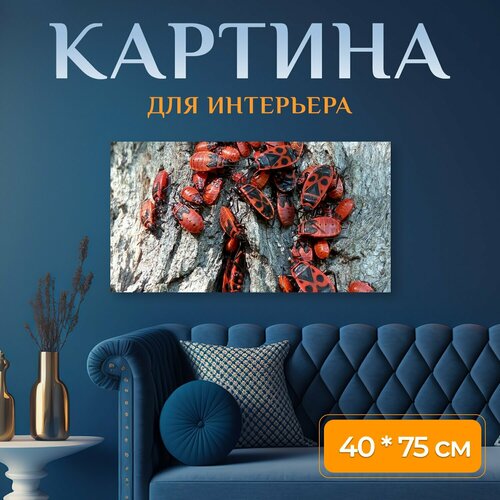 Картина на холсте "Жуки, красный, насекомое" на подрамнике 75х40 см. для интерьера