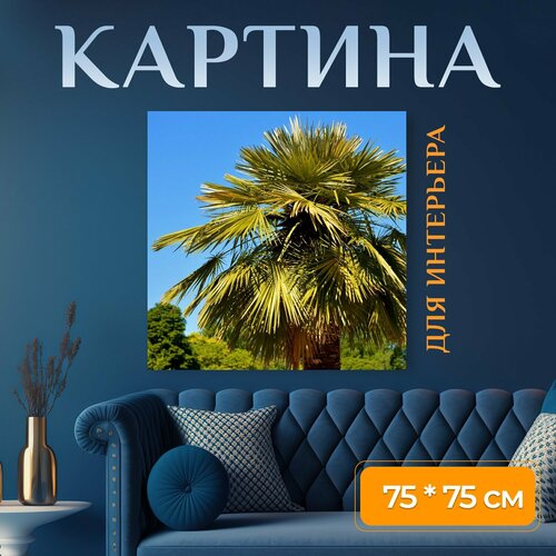 Картина на холсте "Пальма, завод, веерная пальма" на подрамнике 75х75 см. для интерьера