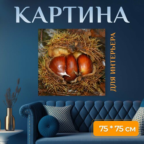 Картина на холсте "Каштаны, природа, осень" на подрамнике 75х75 см. для интерьера