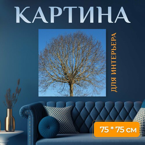 Картина на холсте "Дерево, лысый, весна" на подрамнике 75х75 см. для интерьера