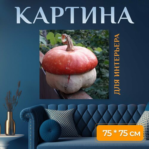 Картина на холсте "Тыква, овощи, плоды" на подрамнике 75х75 см. для интерьера