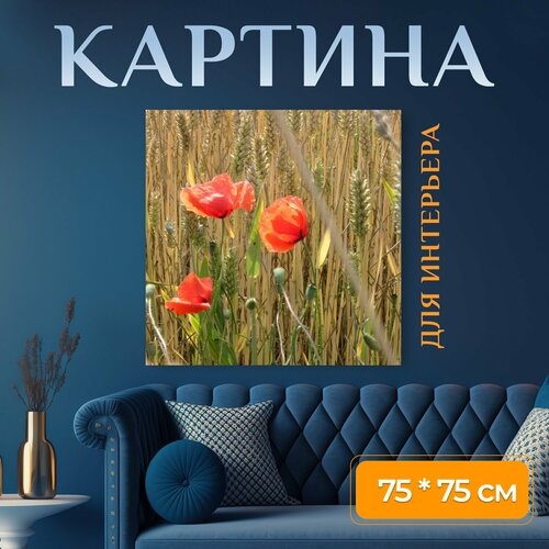 Картина на холсте "Пшеница, природа, красный мак" на подрамнике 75х75 см. для интерьера